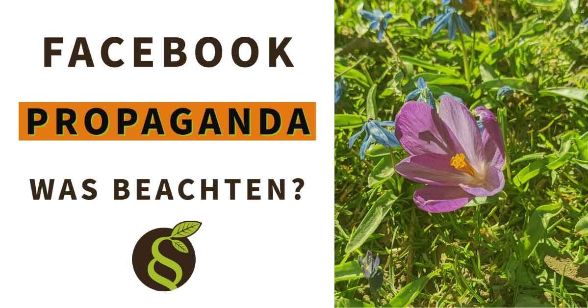 Propaganda auf dem Social Media Account